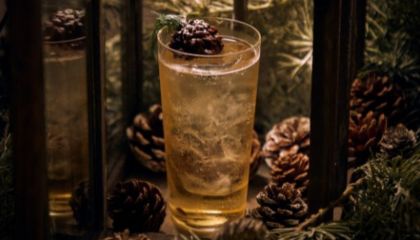 THE TWELVE DAYS OF JULE